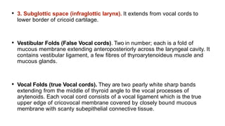 Anatomy of larynx | PPTX