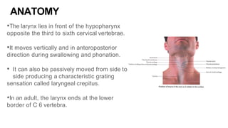 Anatomy of larynx | PPTX