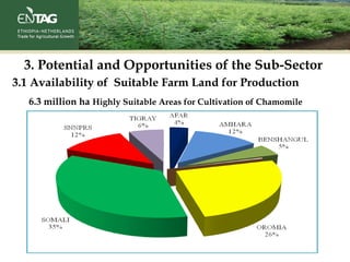 Entag presentation on 4th spice platform meeting | PPT