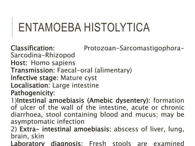 Entamoeba histolytica is an anaerobic parasitic amoebozoan, part of the ...