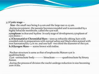 Entameoba Histolytica.pptx