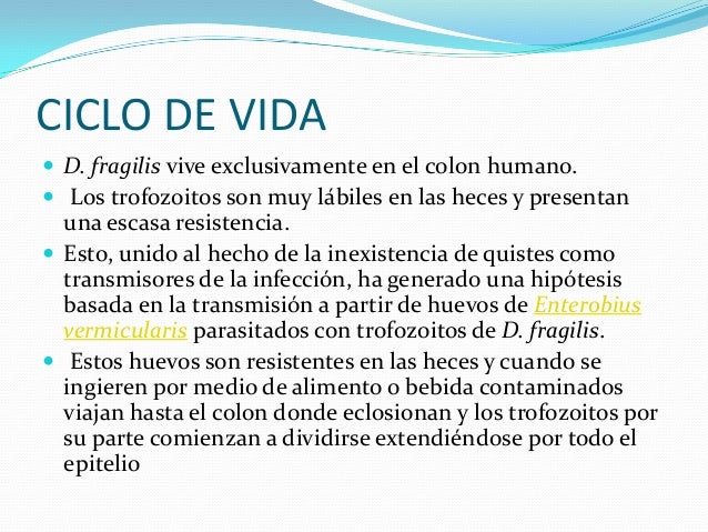 Entamoeba Coli Tratamiento