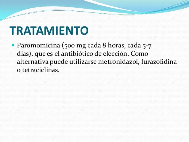 Entamoeba Coli Trofozoito