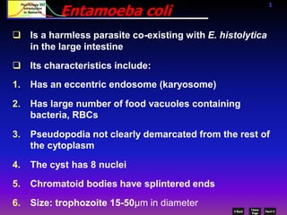 ENTAMOEBA COLI.pdf notes for medical students | PDF
