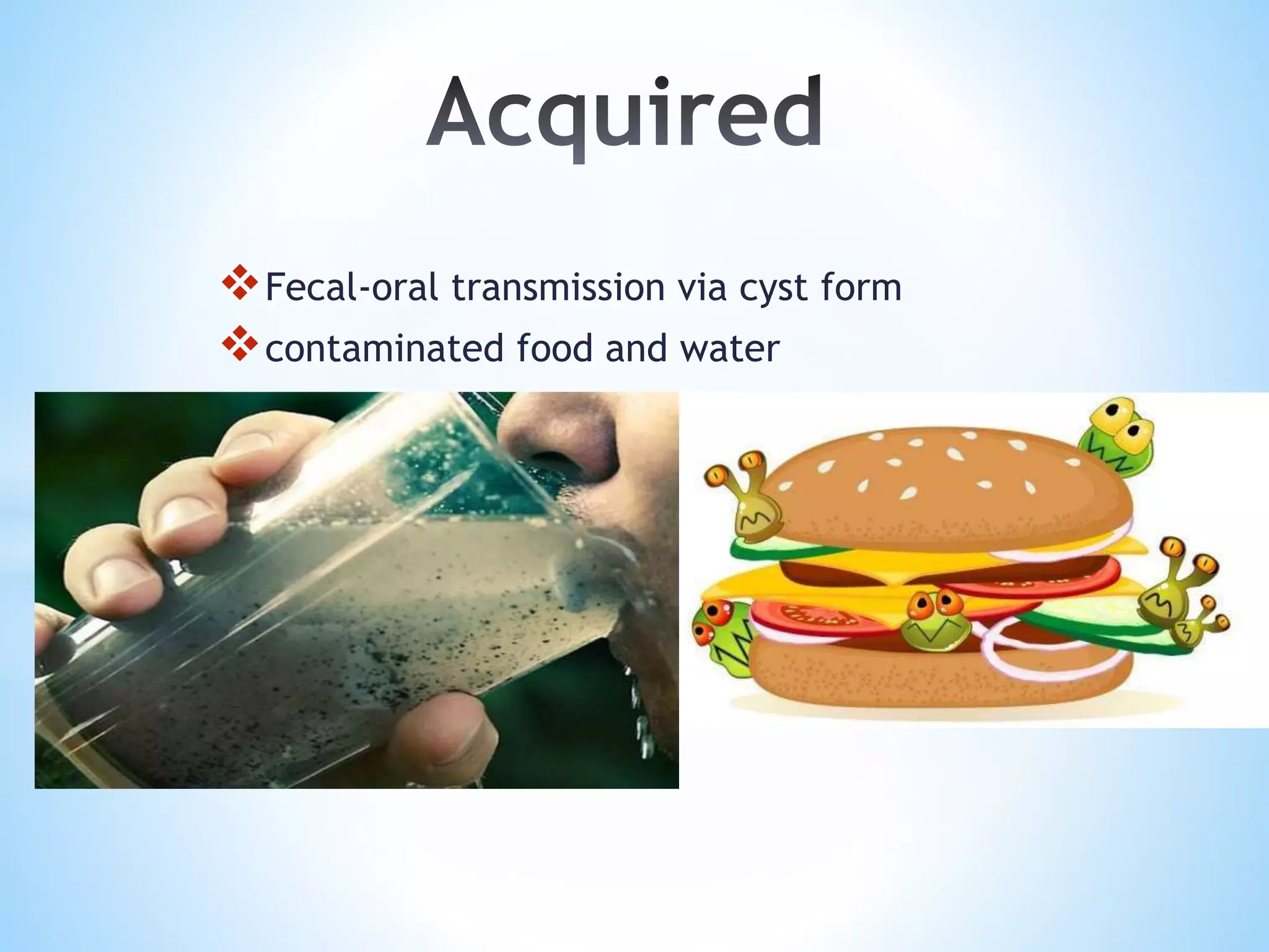 Entamoeba coli parasite | PPTX