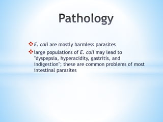 Entamoeba coli parasite | PPTX