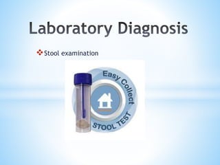 Entamoeba coli parasite | PPTX