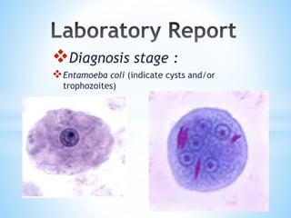 Entamoeba coli parasite | PPTX