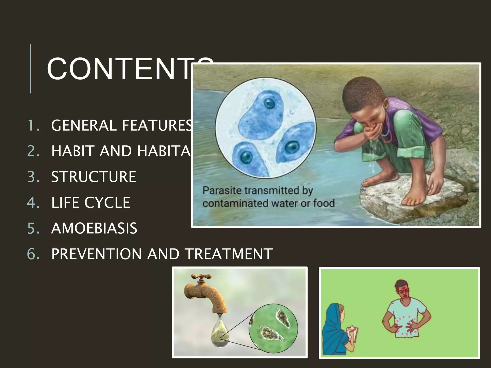 Life cycle of Entamoeba histolytica | PPTX