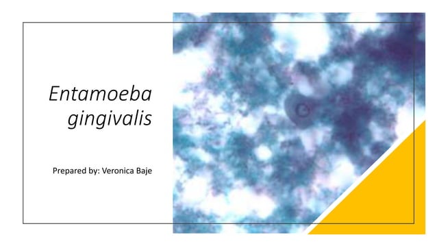 Entamoeba gingivalis: Non-Pathogenic Ameba of the Oral Cavity | PPT