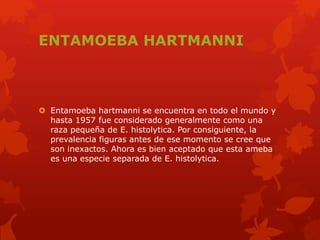 Entamoeba hartmanni | PPTX
