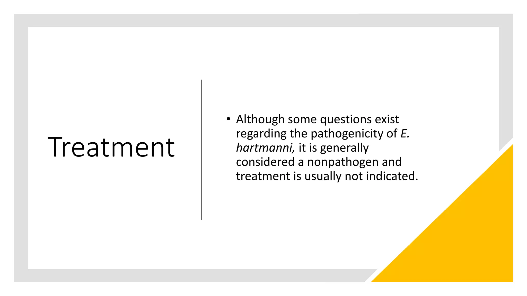 Entamoeba hartmanni | PPTX