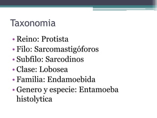 Entamoeba histolitica | PPTX