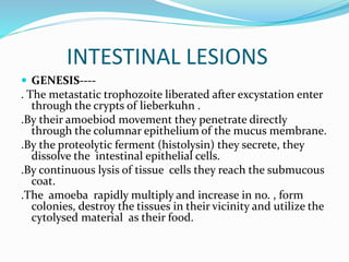 Entamoebahistolytica 130925015200-phpapp02 | PPT