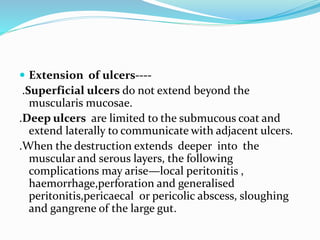 Entamoebahistolytica 130925015200-phpapp02 | PPT