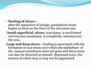 Entamoebahistolytica 130925015200-phpapp02 | PPT