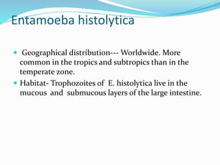 Entamoebahistolytica 130925015200-phpapp02 | PPTX
