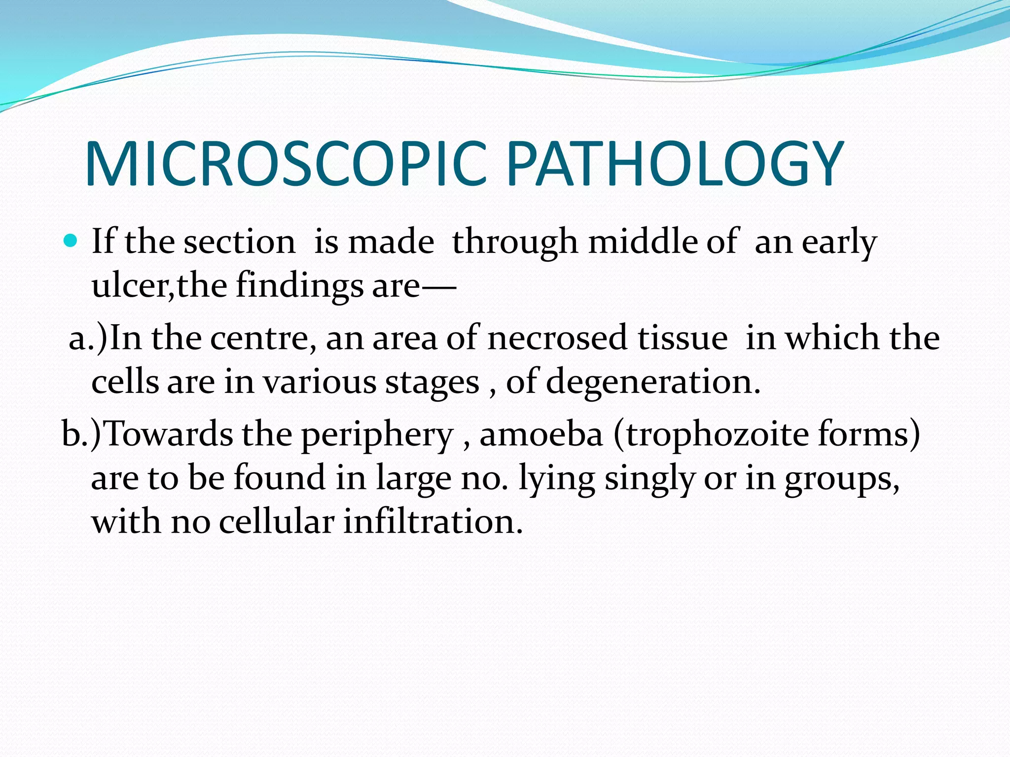 ppt on Entamoeba histolytica INTESTINAL LESIONS | PPTX