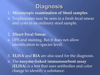 Entamoeba histolytica | PPTX
