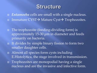 Entamoeba histolytica | PPTX