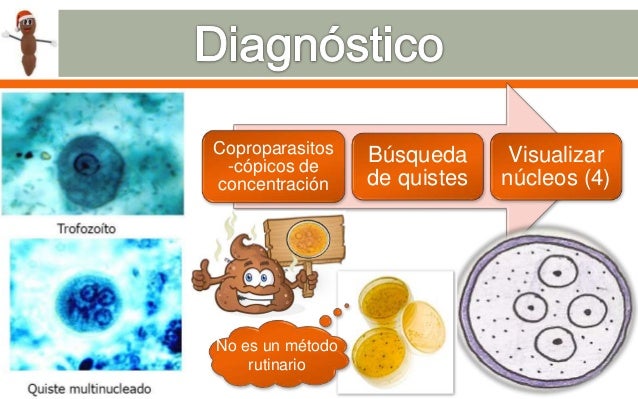 Entamoeba histolytica y Giardia Lamblia: Diagnóstico, tratamiento y p…