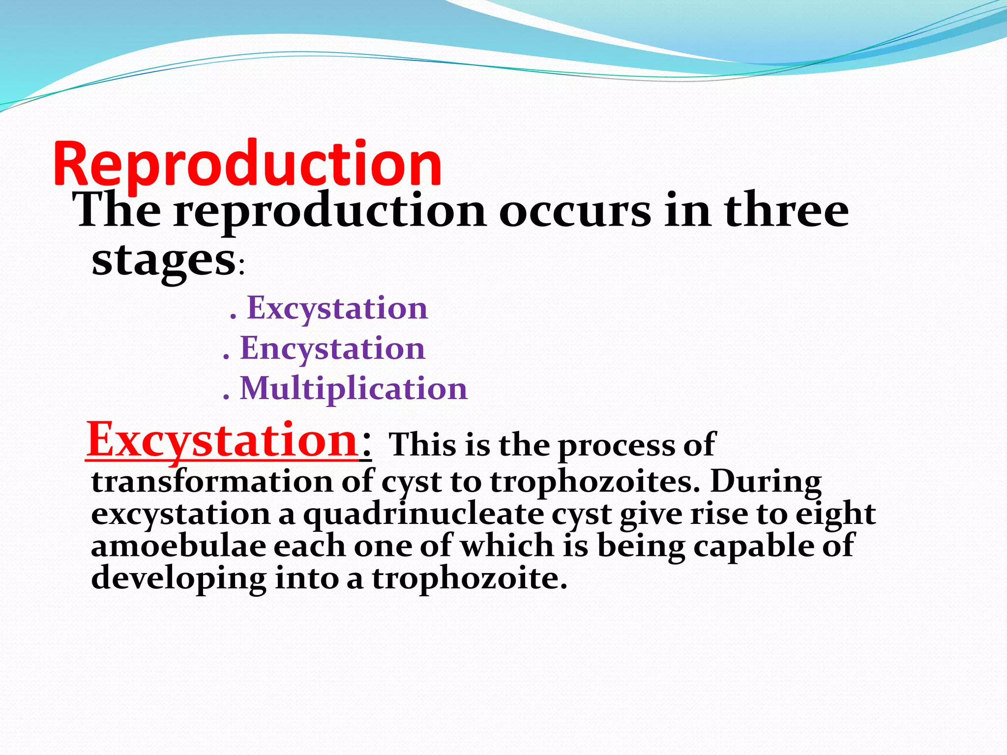 ENTAMOEBA HISTOLYTICA | PPTX