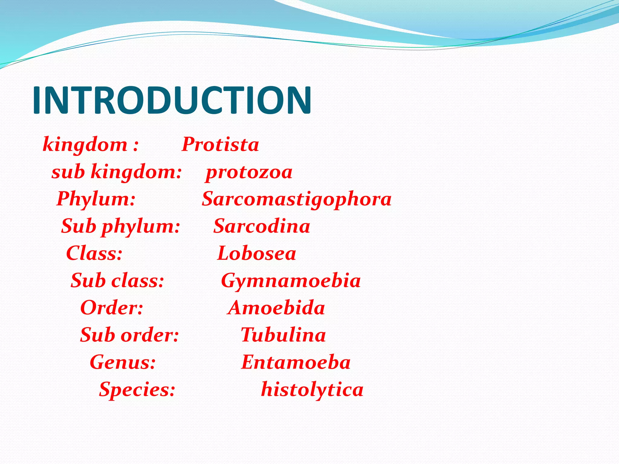 ENTAMOEBA HISTOLYTICA | PPTX