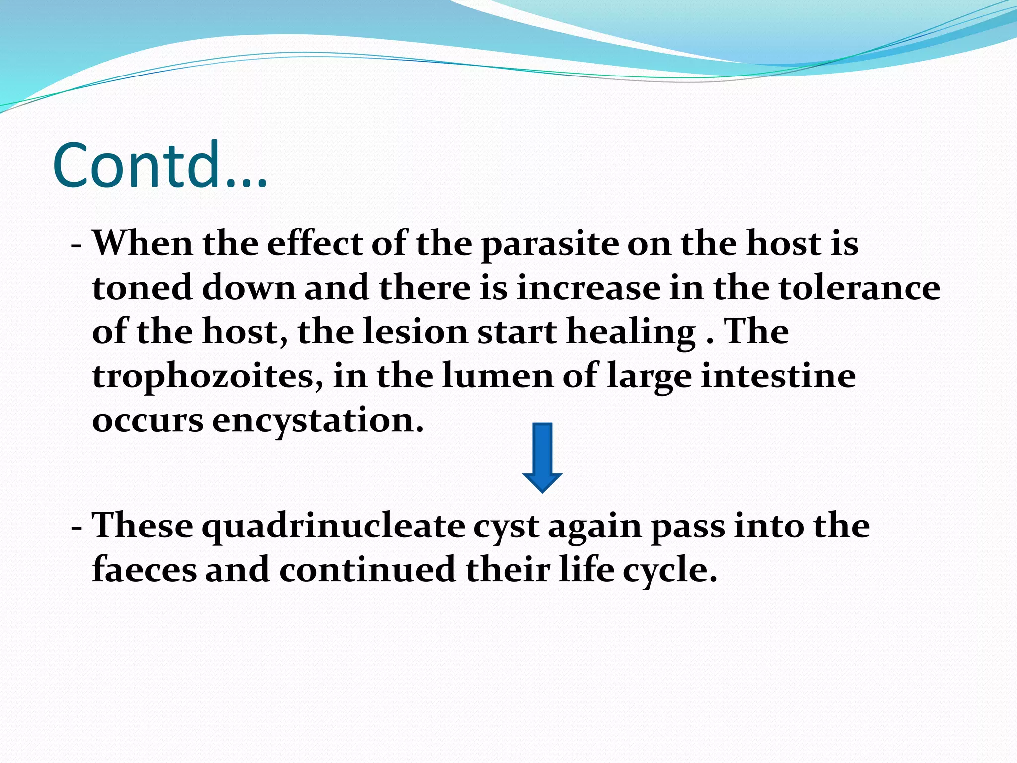 ENTAMOEBA HISTOLYTICA | PPTX