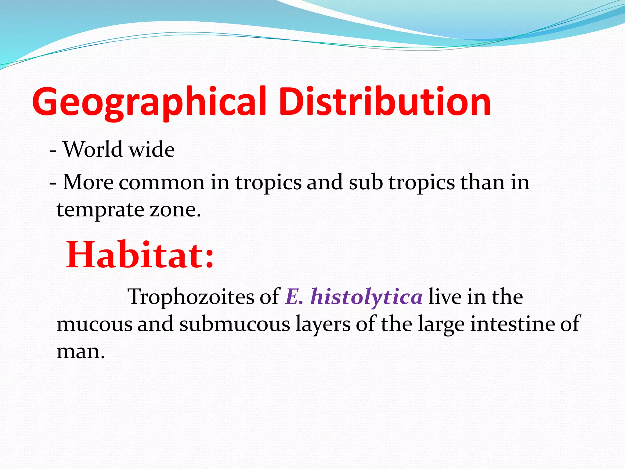 ENTAMOEBA HISTOLYTICA | PPTX