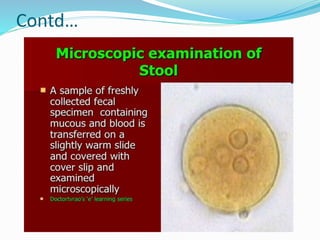 Entamoeba Histolytica Under Microscope