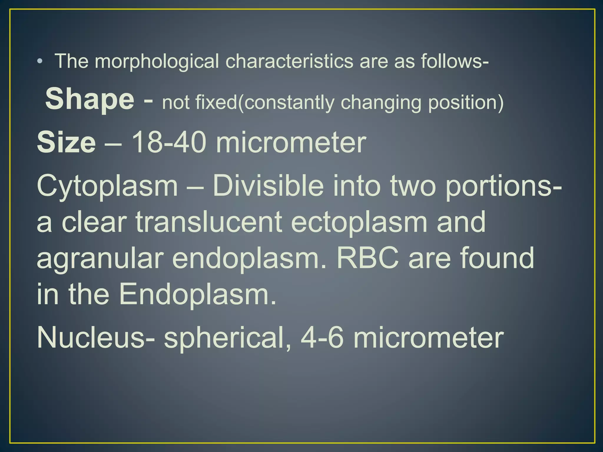 Entamoeba histolytica | PPTX