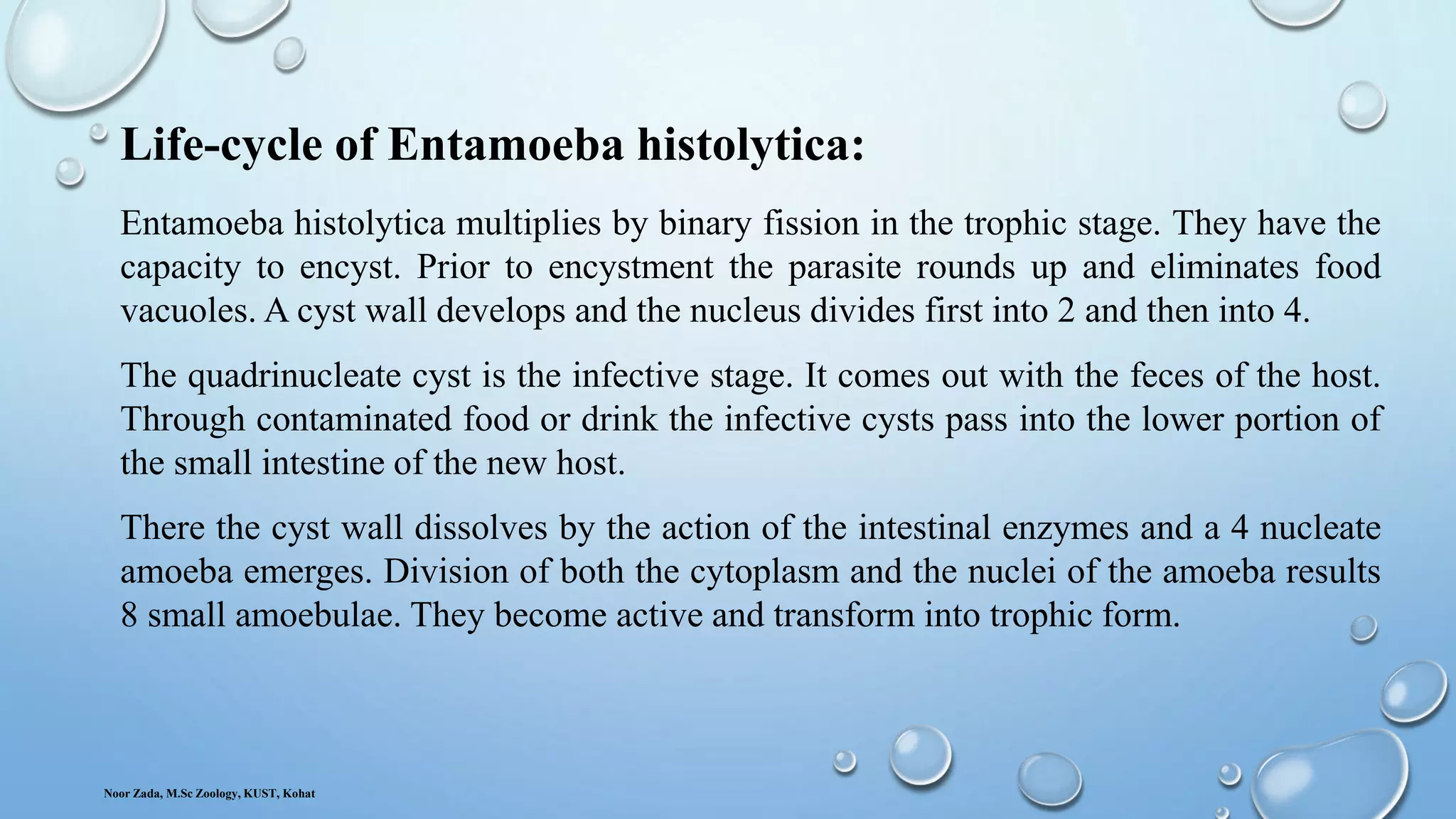 Entamoeba histolytica | PPTX