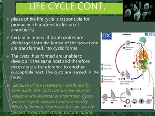 Entamoeba histolytica | PPTX