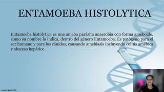 Entamoeba Histolytica.pptx