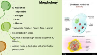 Entamoeba Histolytica | PPTX