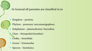 Entamoeba Histolytica | PPTX
