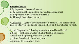Entamoeba Histolytica | PPTX