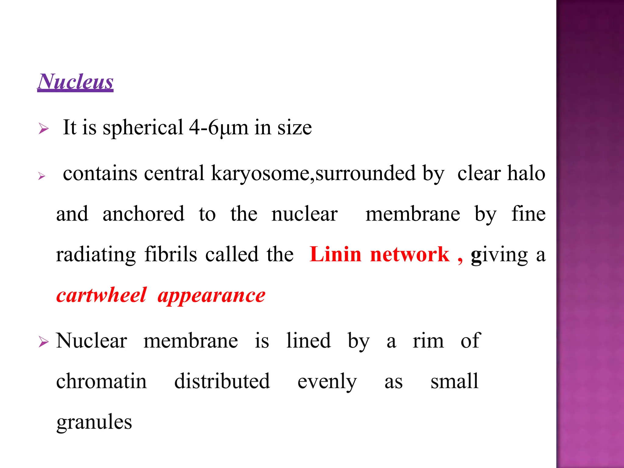 Entamoeba histolytica.pptx