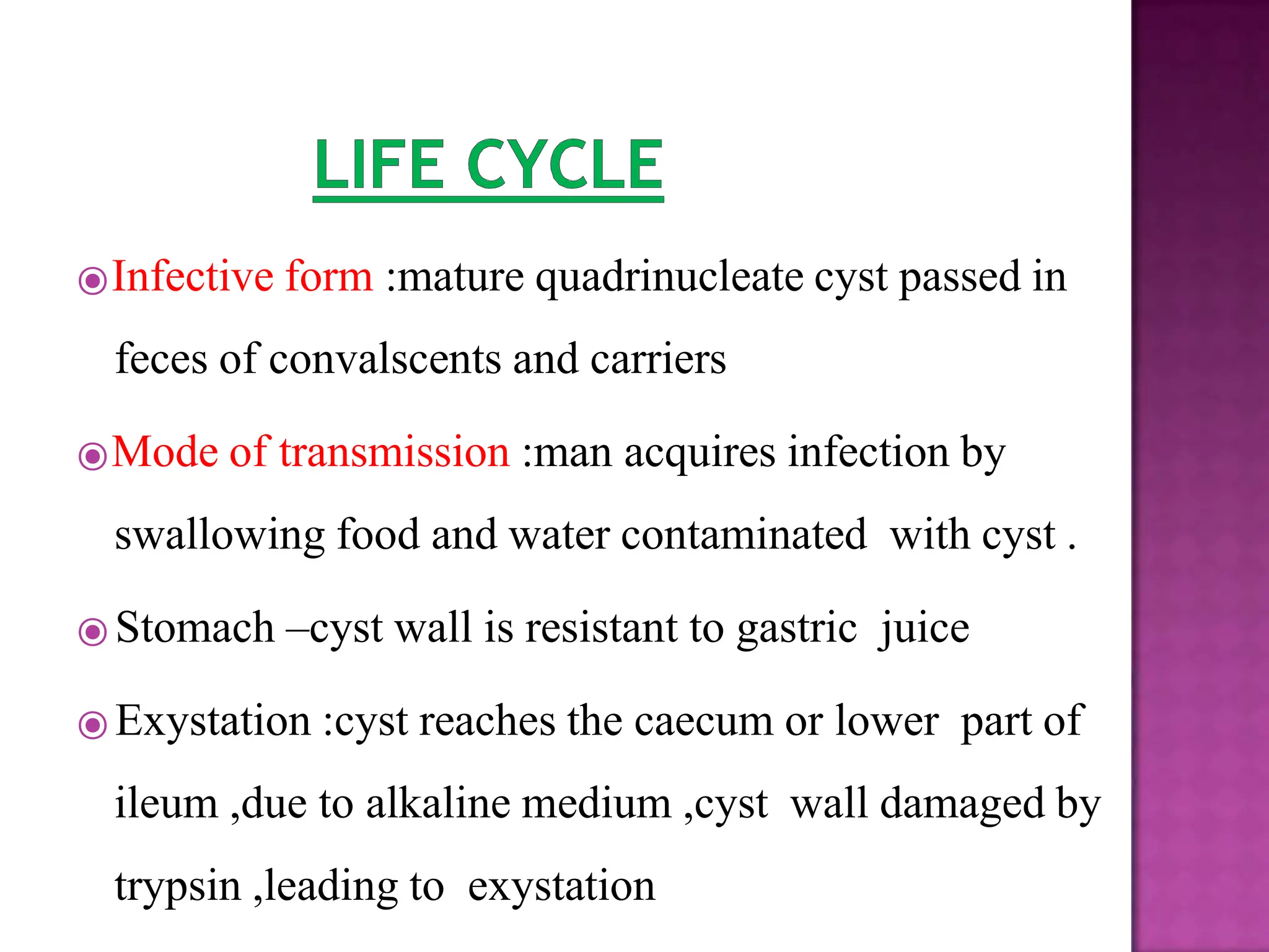 Entamoeba histolytica.pptx