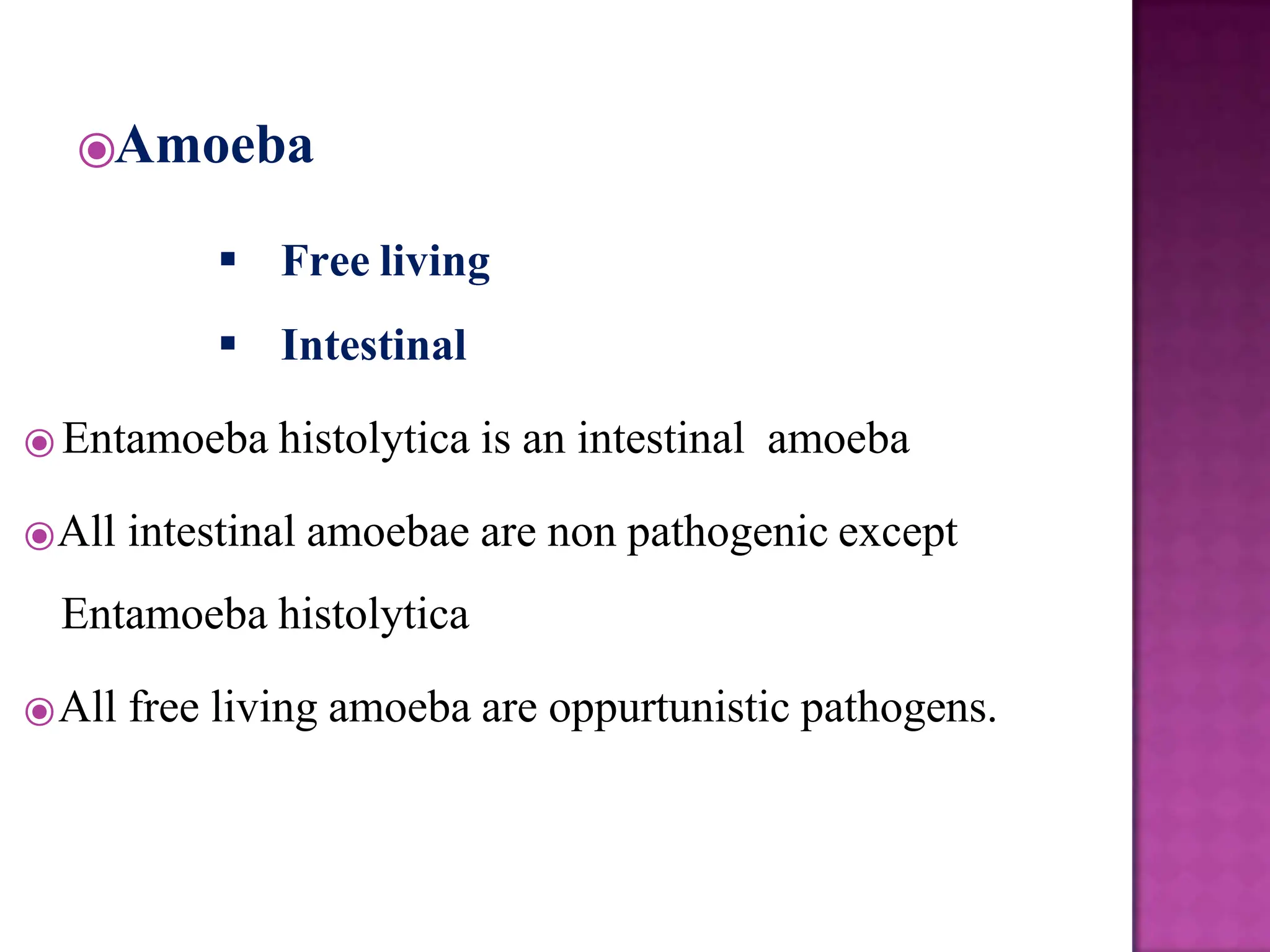 Entamoeba histolytica.pptx