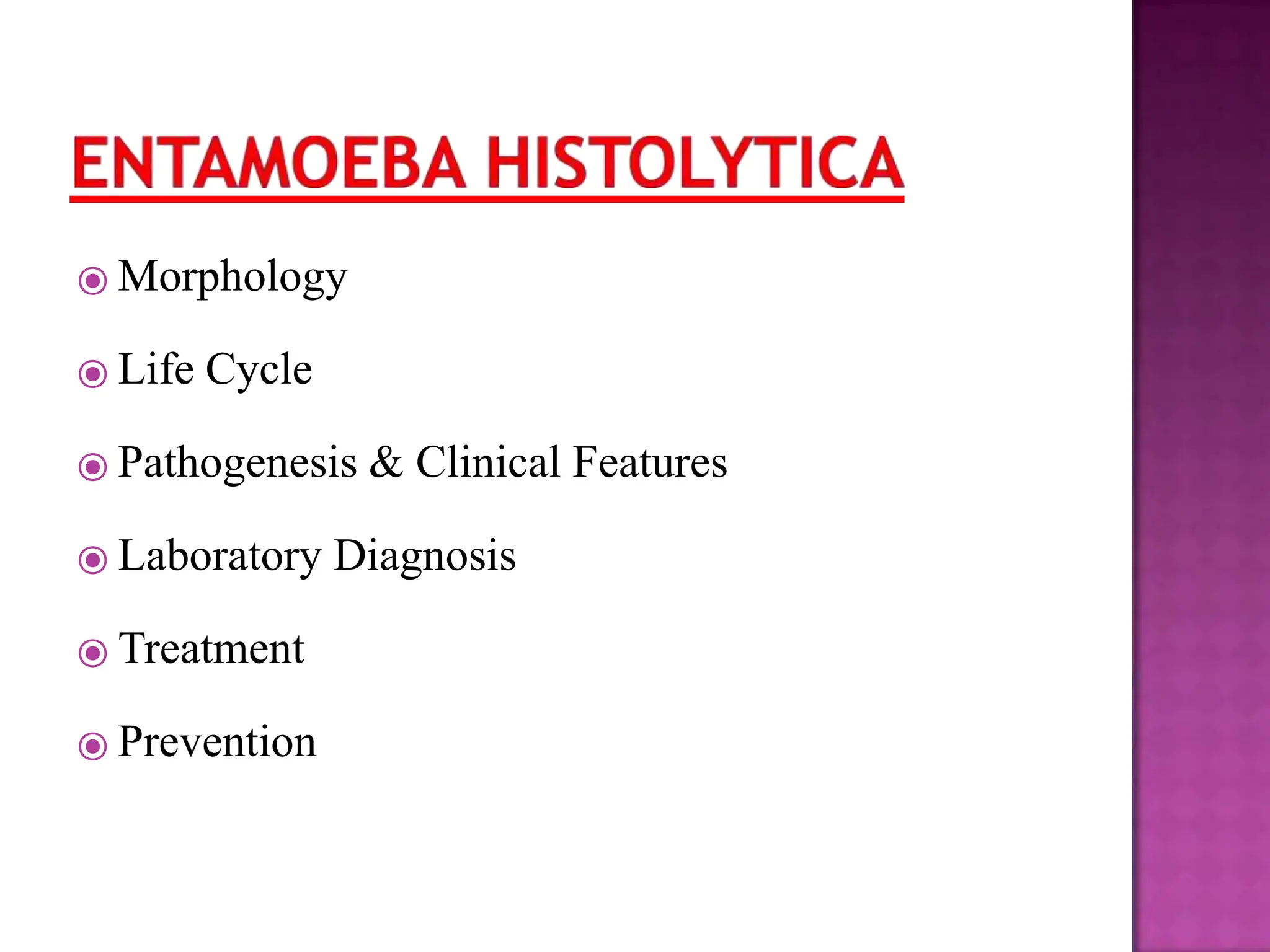 Entamoeba histolytica.pptx