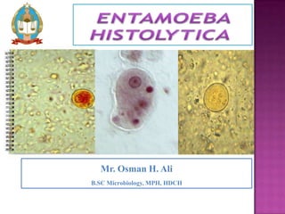Entamoeba histolytica.pptx