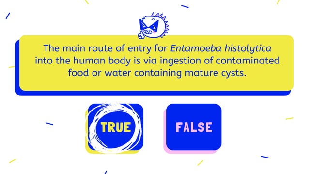 Entamoeba Histolytica - Protozoan Parasite Eukaryotes | PPT