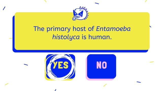Entamoeba Histolytica - Protozoan Parasite Eukaryotes | PPT