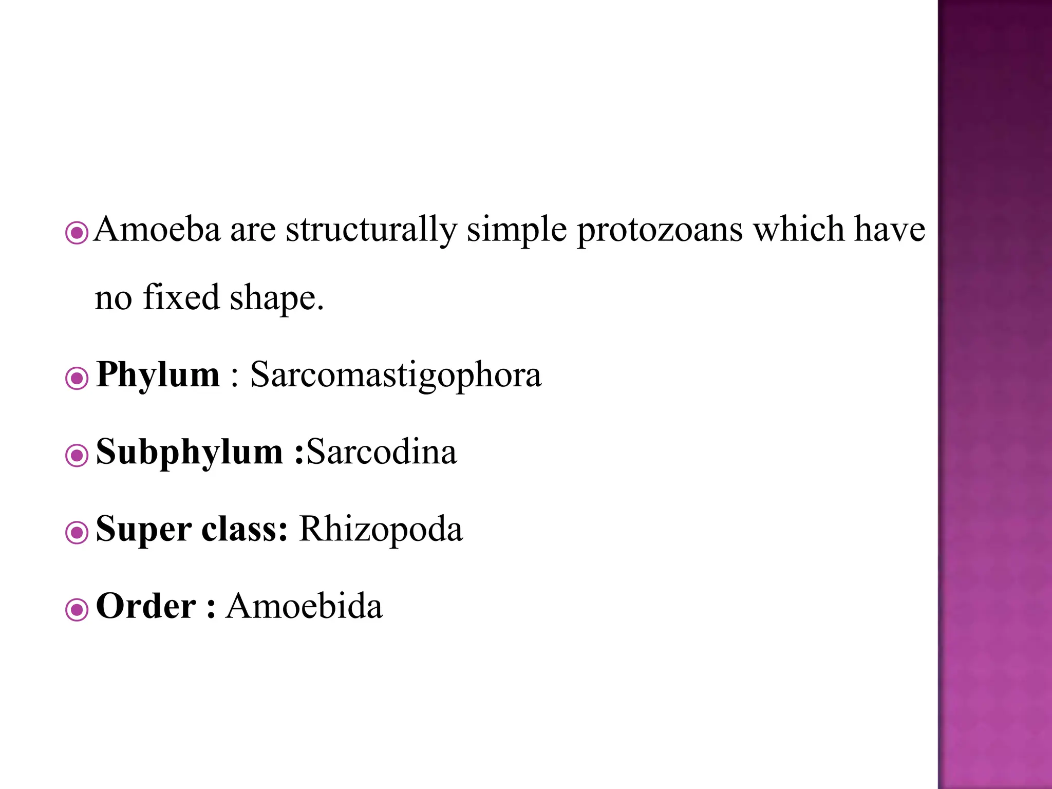 Entamoeba histolytica. Medical parasitology pptx | PPT