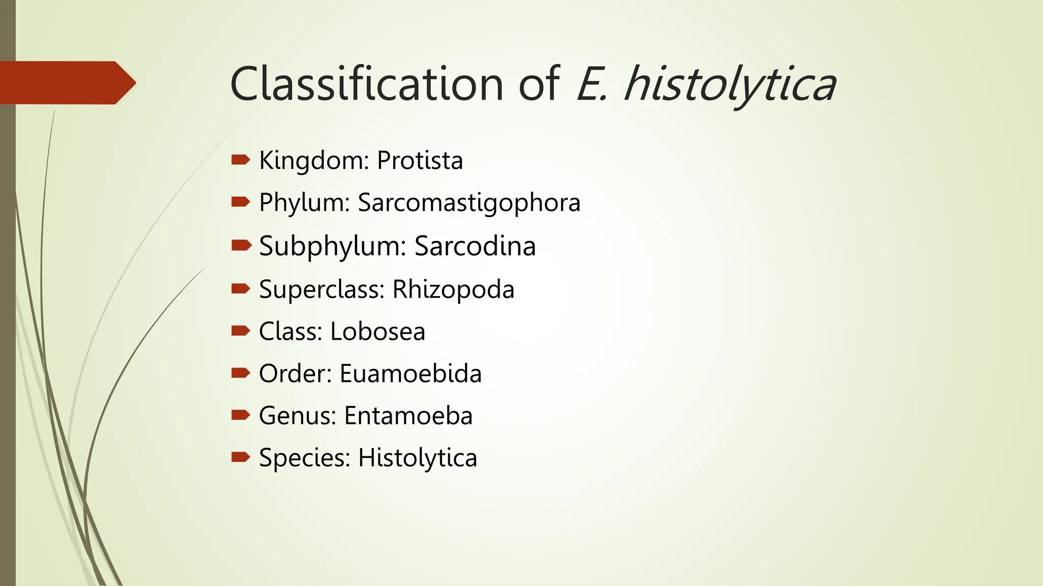 Entamoeba histolytica causative agent of amoebiasis .pptx
