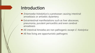 Entamoeba histolytica causative agent of amoebiasis .pptx