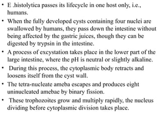 Entamoeba histolytica medical parasitology | PPTX