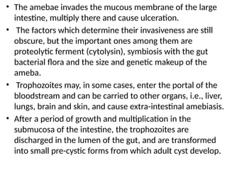 Entamoeba histolytica medical parasitology | PPTX