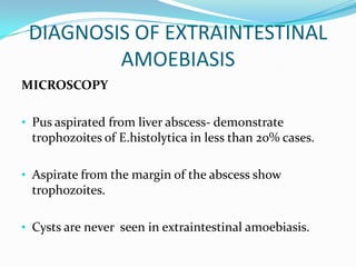 Entamoeba histolytica -amoebiasis | PDF